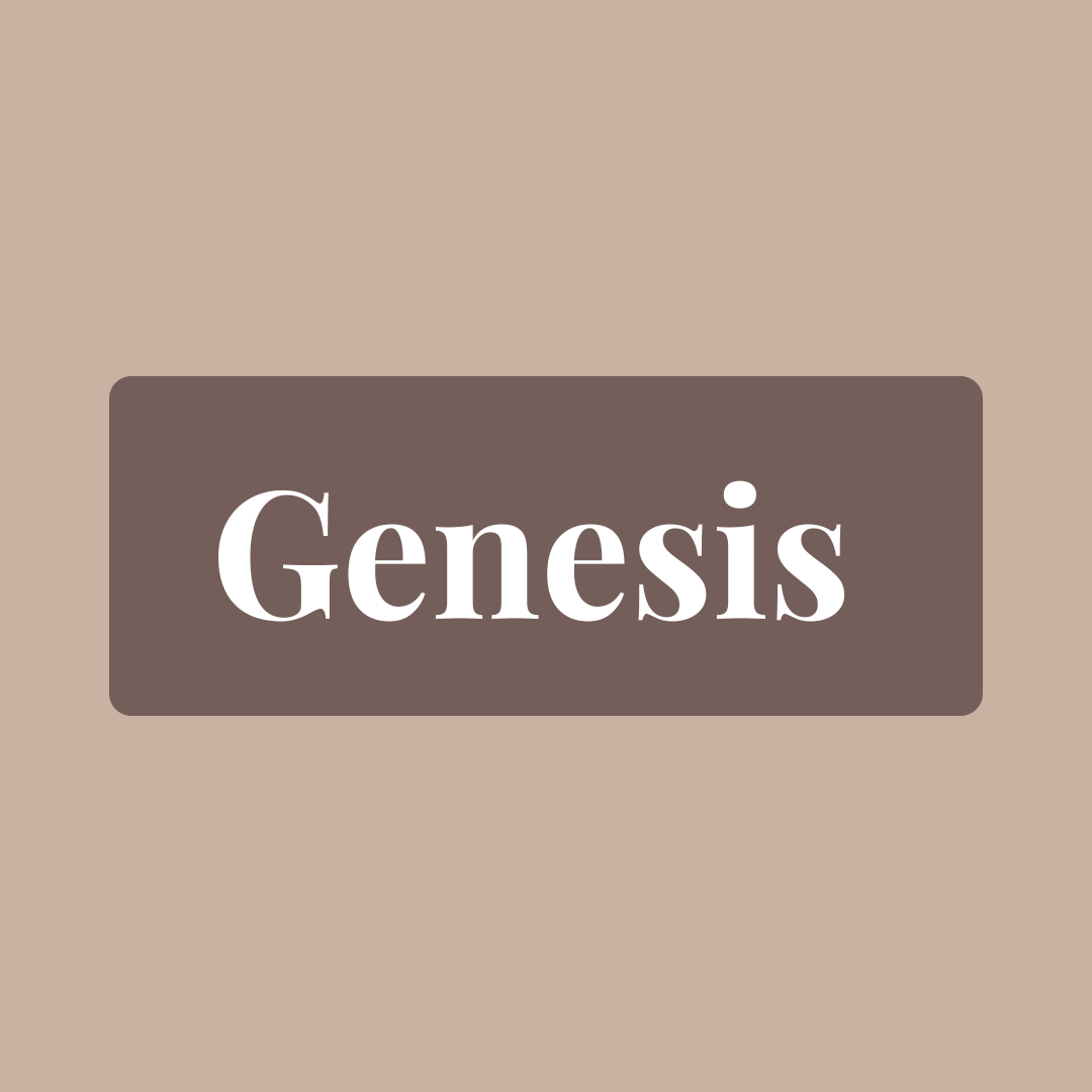 Bible Studies – Daughter in Waiting Ministry